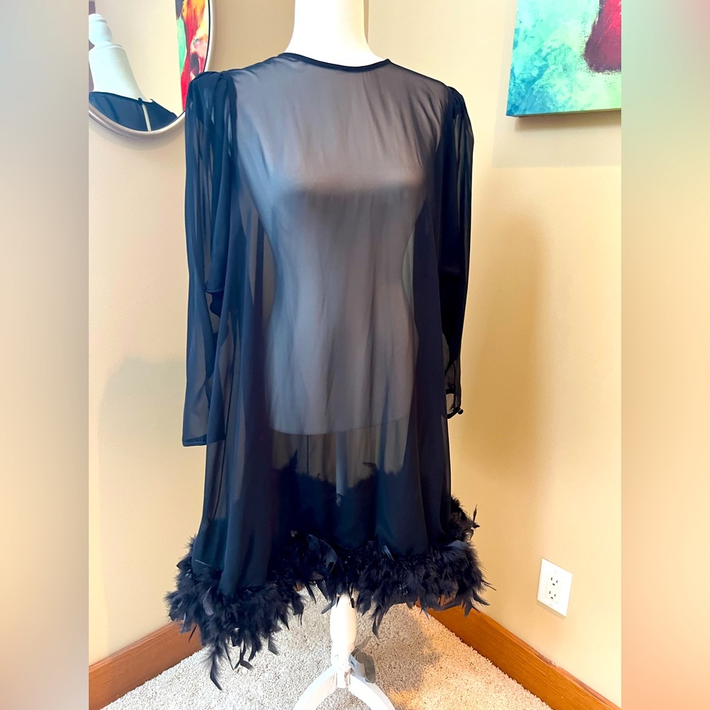 Vintage Black Sheer Negligee Dress With Feathered Tri… - Gem